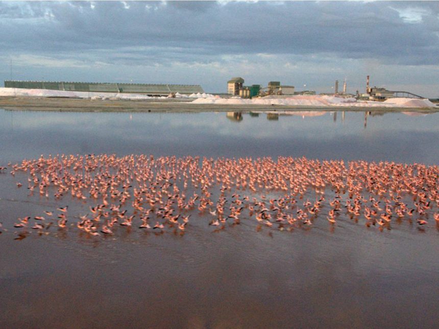 Botswana Chamber of Mines (BCM) : Spotlight on Mining in Botswana